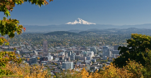 Estate Sale Finder | Provider